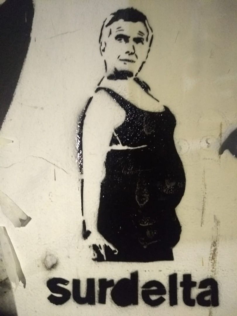 Surdelta - Revista Anfibia